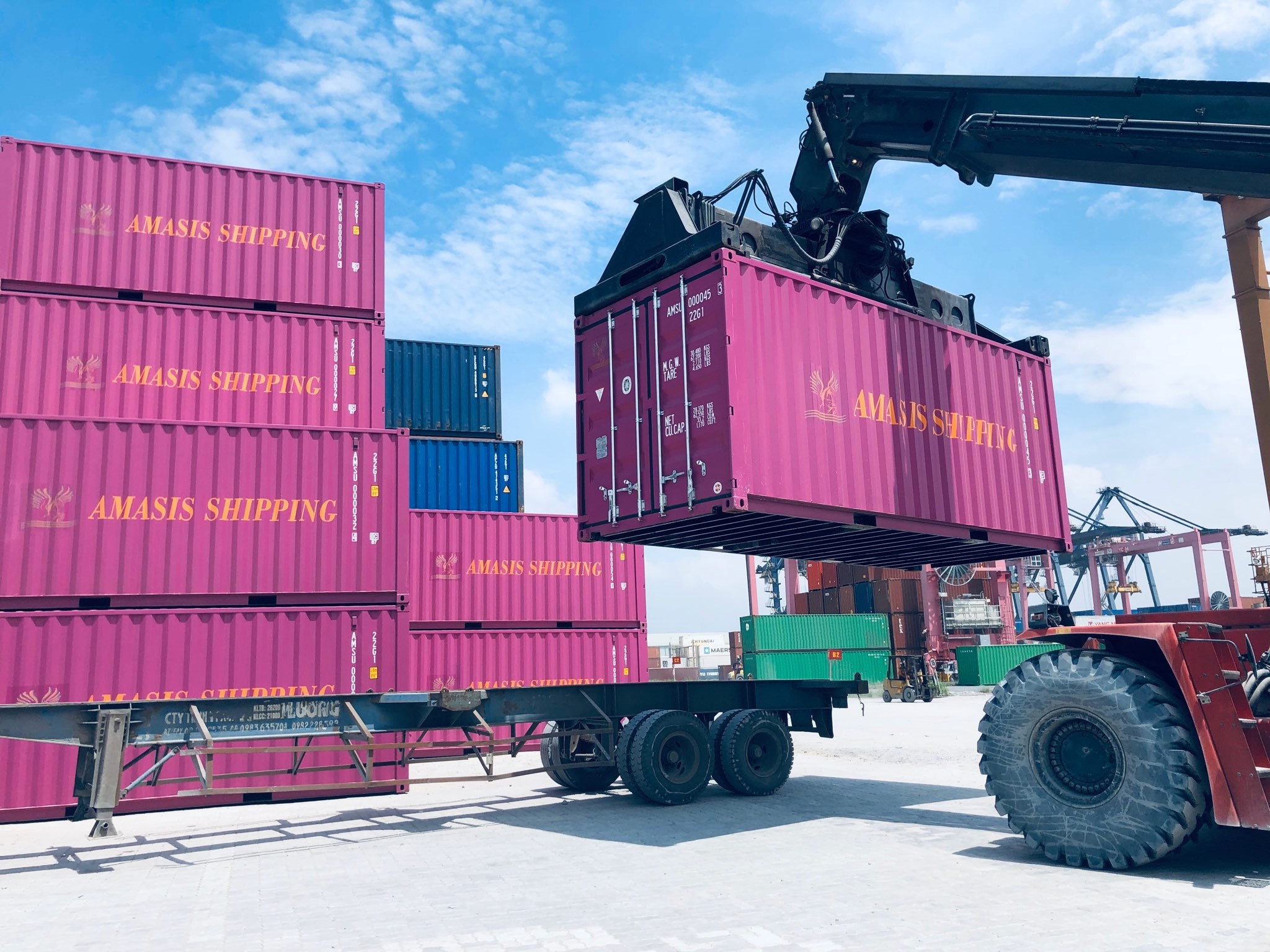 Trang chủ - Amasis